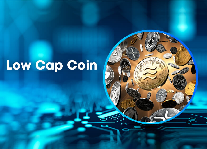 Low Cap Coin trong Crypto là gì? Đầu tư tiền điện tử